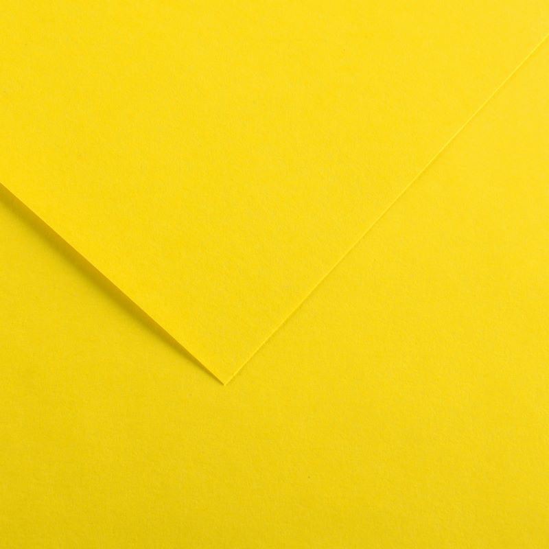 Exas Paper. ΧΑΡΤΙ CANSON COLORLINE 50x70 220gr